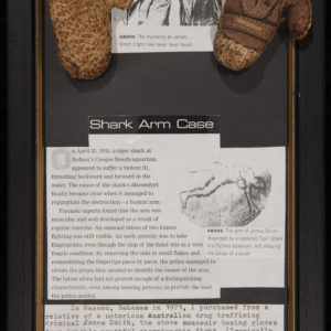 shark arm case - Jim Bowsher