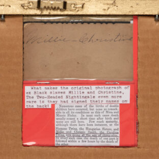 The Two-Headed Nightingale - Jim Bowsher