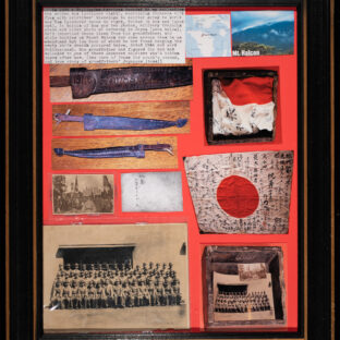 The Last Soldiers - Jim Bowsher